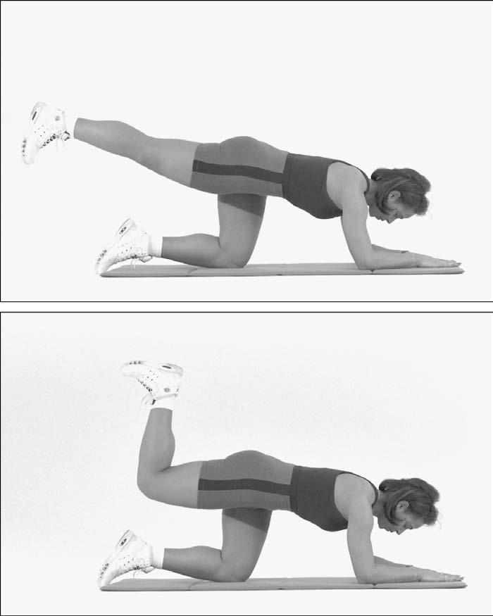 Weight Training Tips and Guide: Kneeling leg curl