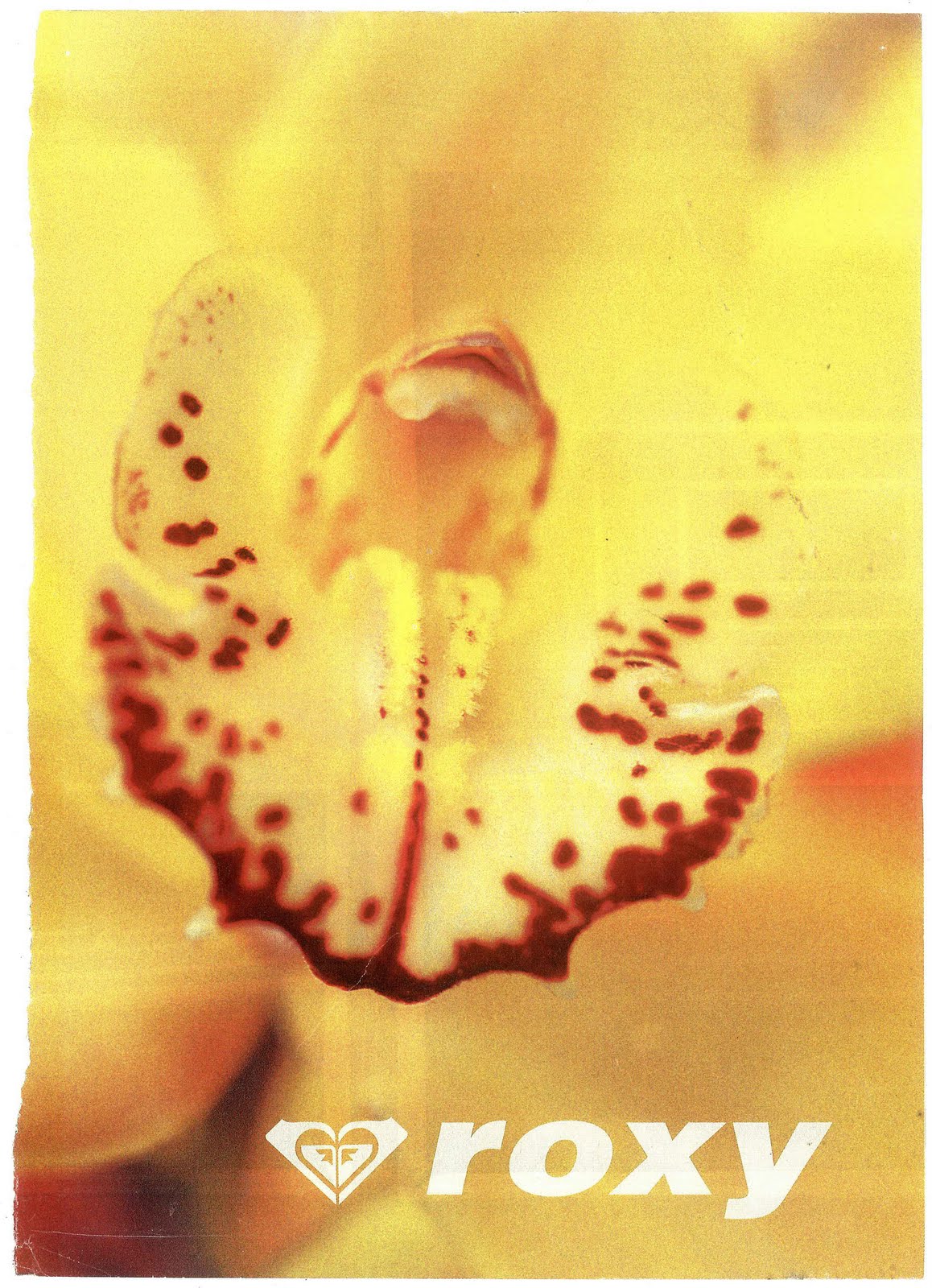 beccalovesart: old Roxy ads from my archives