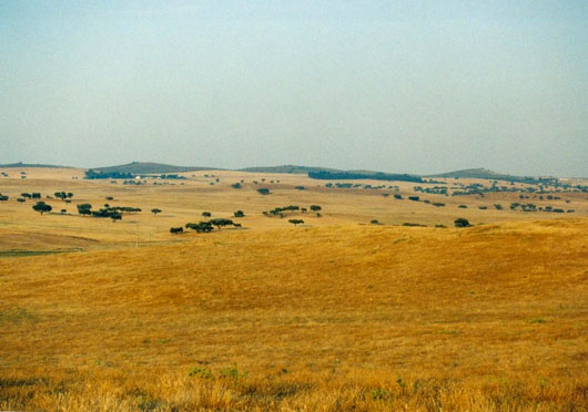 Da pradaria à estepe