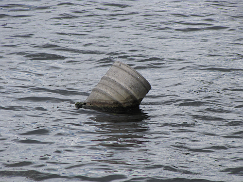 Blighty's Blog: Tales From the Trip: #10 Bad Beer