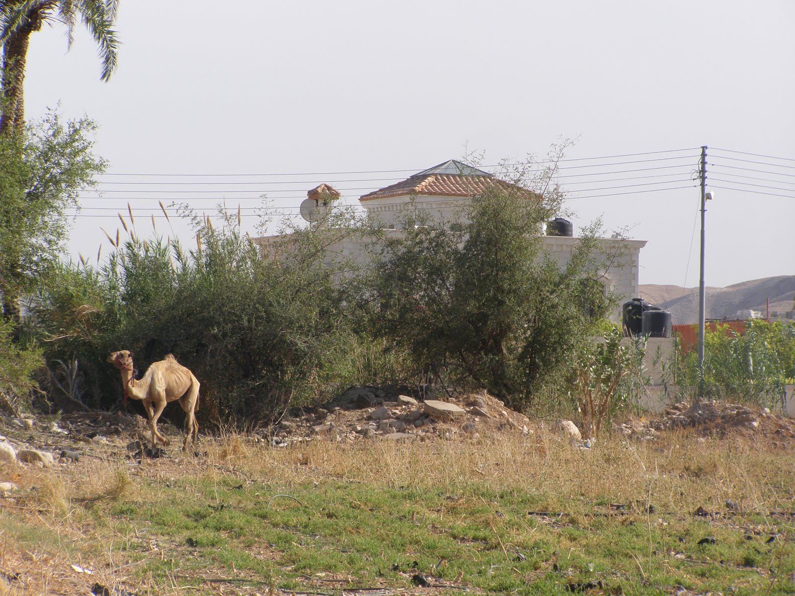 Soup Kultur: Jeeriko - linn 250m allpool merepinda