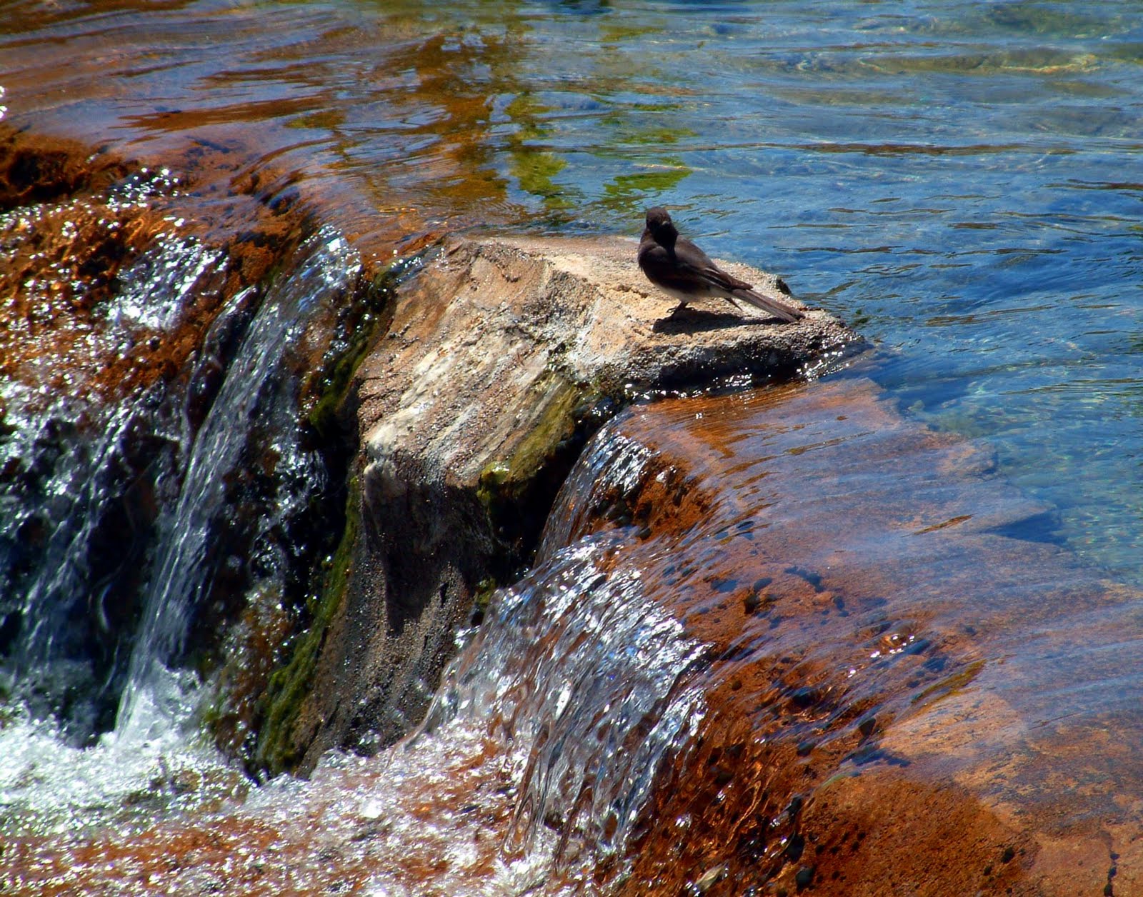 Journey of our Lives