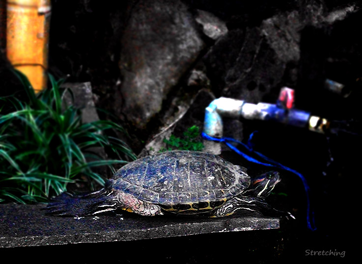 Offset Design Preview