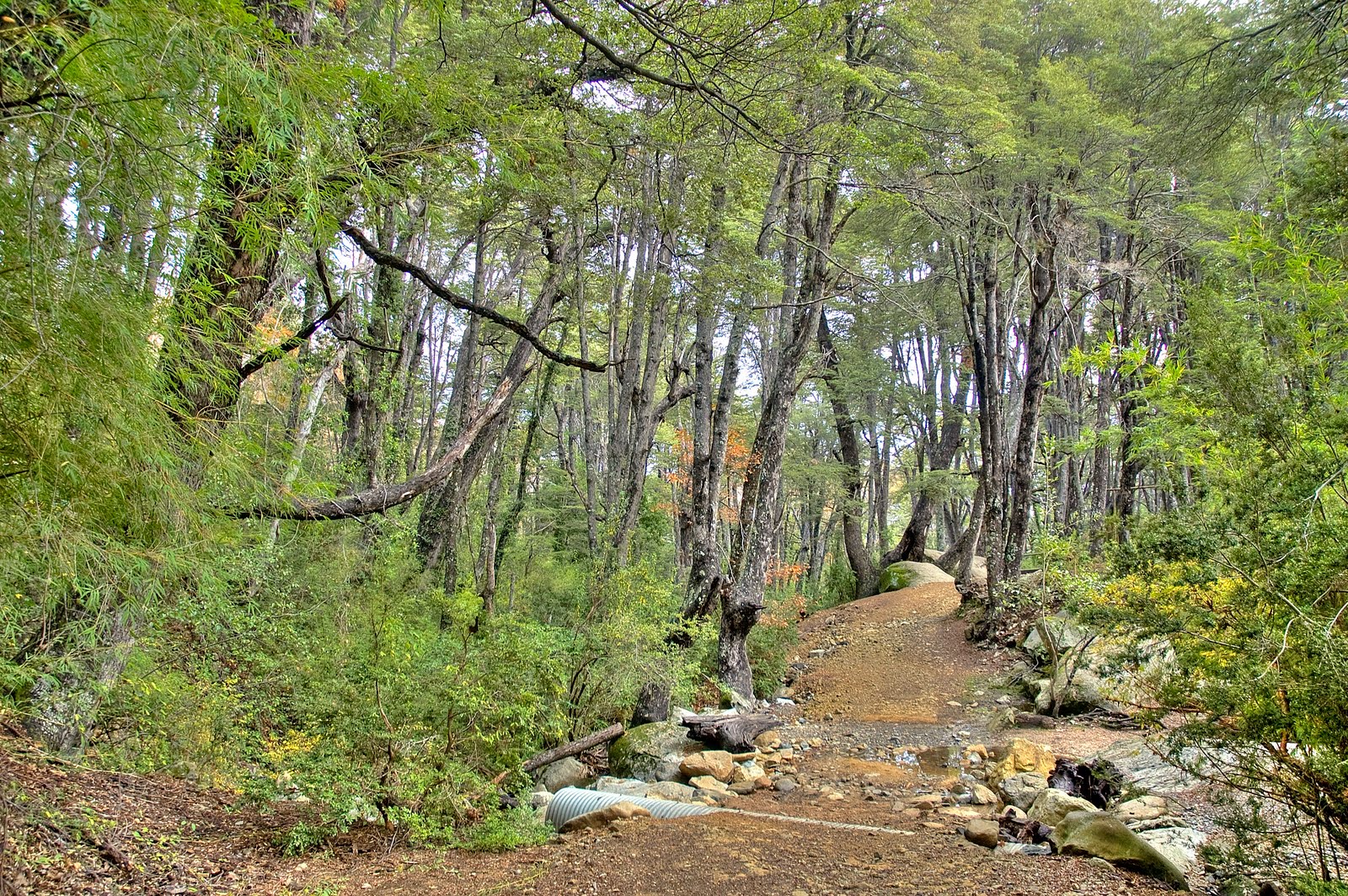 Mi Memoria Fotográfica: Vilches Alto