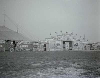 Sawdust and Spangles: Chipperfield Circus ( From John Evans )