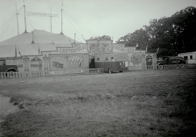 Sawdust and Spangles: Chipperfield Circus ( From John Evans )