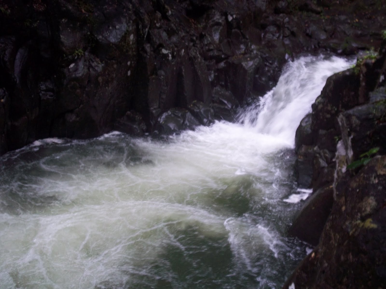 Dominica S&A: Service and Chaudiere Pool!