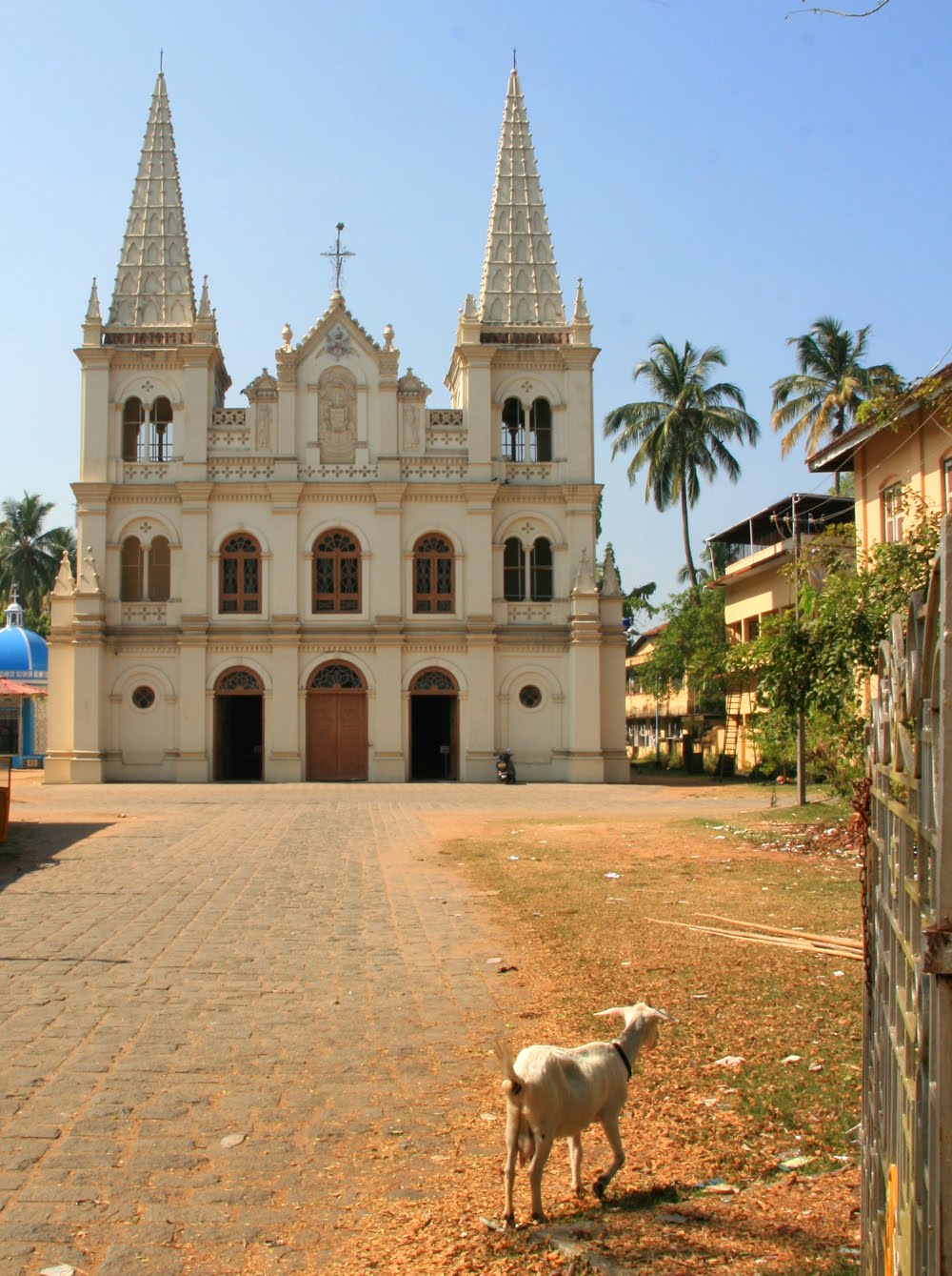 Trips Out: Walking tour of Fort Cochin!