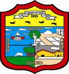 MUNICIPIO DE ESCUINAPA: Escudo
