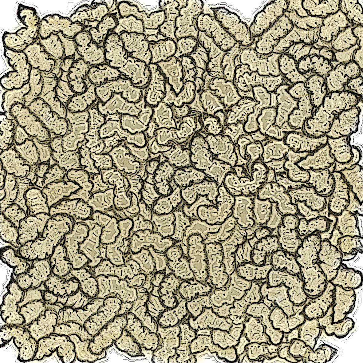 Sustainability: Maggot Drawing