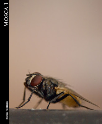 Ramón Portillo FotoBlog