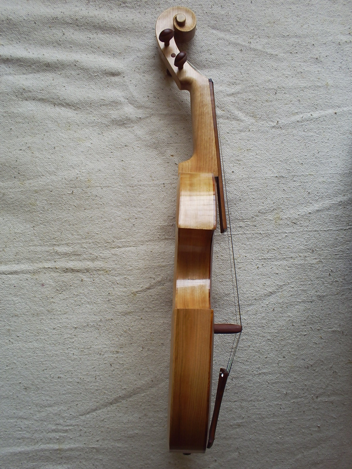 SALDARRIAGALUTHIER: Rabel Chileno II