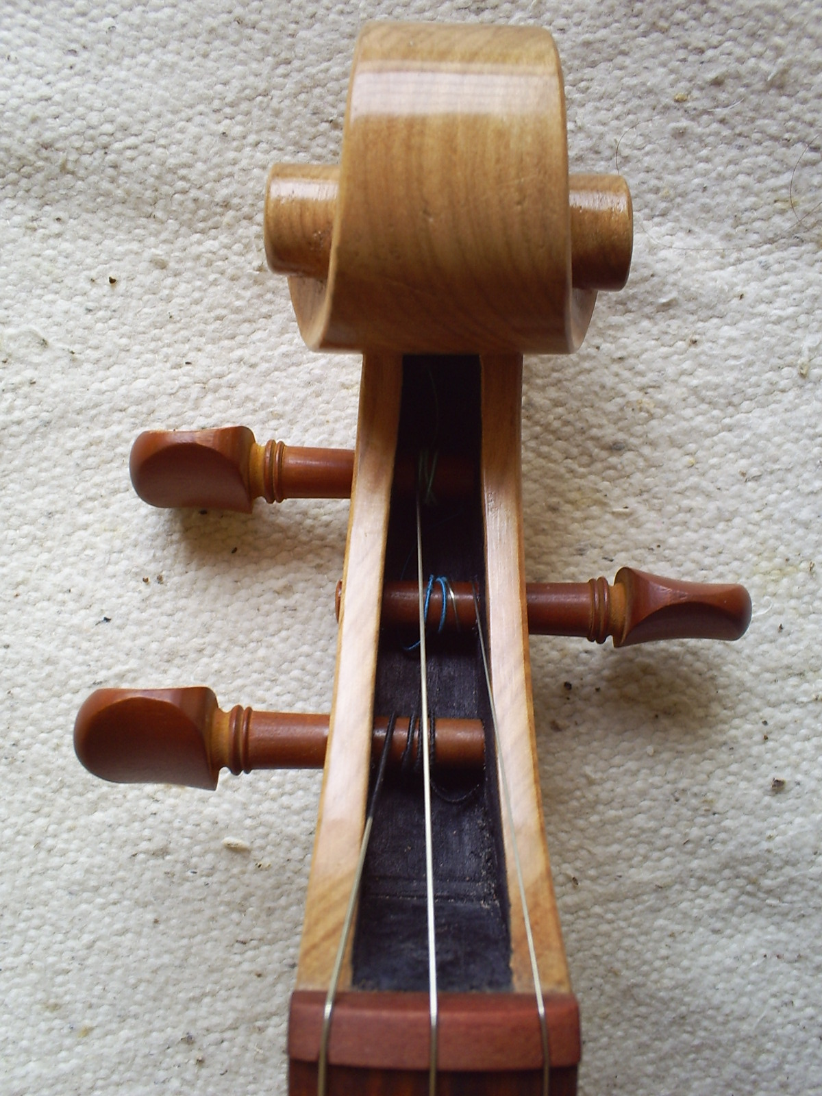 SALDARRIAGALUTHIER: Rabel Chileno II