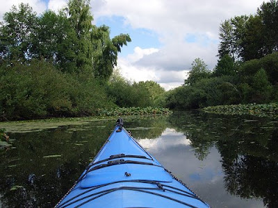 Seattle Moms: Kayaking (Or Canoeing) Mercer Slough