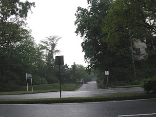 Good Morning Yesterday: I Remember Mandai Camp