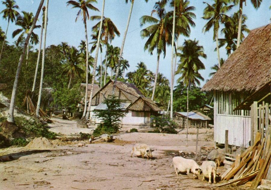 Good Morning Yesterday: More than 1 type of kampong in Singapore