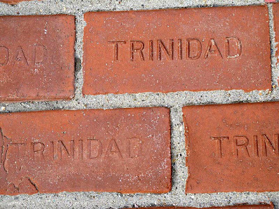 Camels and Tacos: The Trinidad I once knew