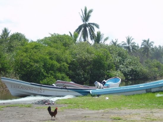 Ecoturismo México: Boca De Pascuales - playas colima