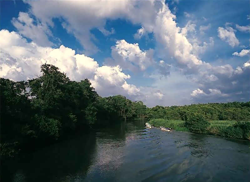 Ecoturismo México: Pantános de Centla - Tabasco