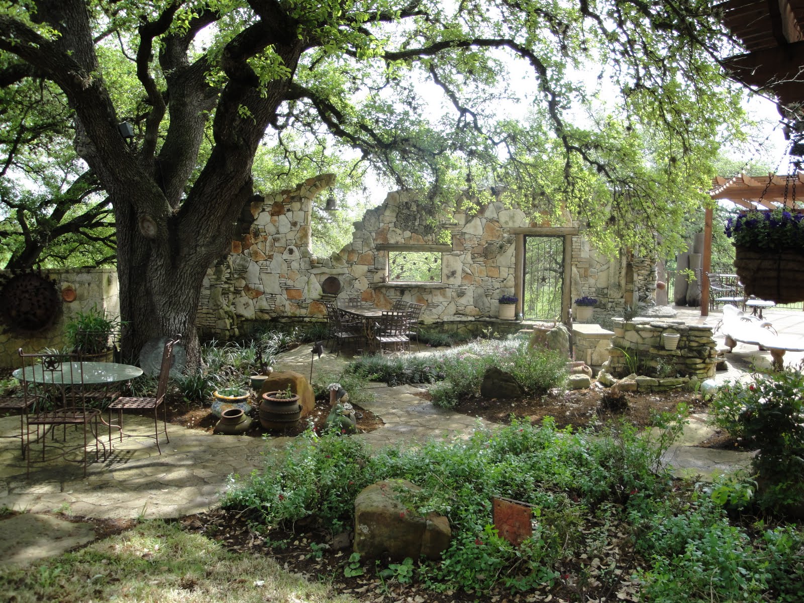 Roaming Longhorns: The Wild Onion Ranch - Austin, Texas