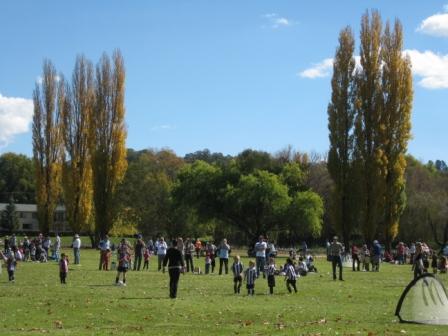 Wayward Rambler: Armidale Autumn