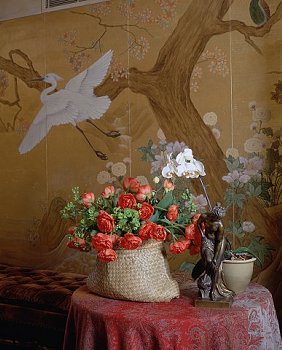 jamaica byles: Photographer :Massimo Listri