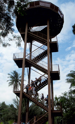 Where Discovery Begins: NHC @ Chek Jawa Boardwalk on 8 Sep 2007