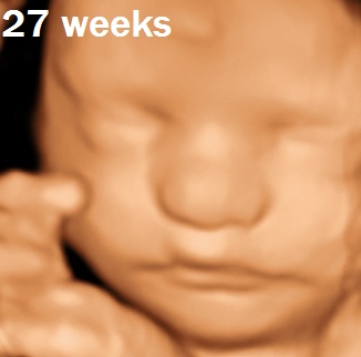 3D Baby Ultrasound Vancouver
