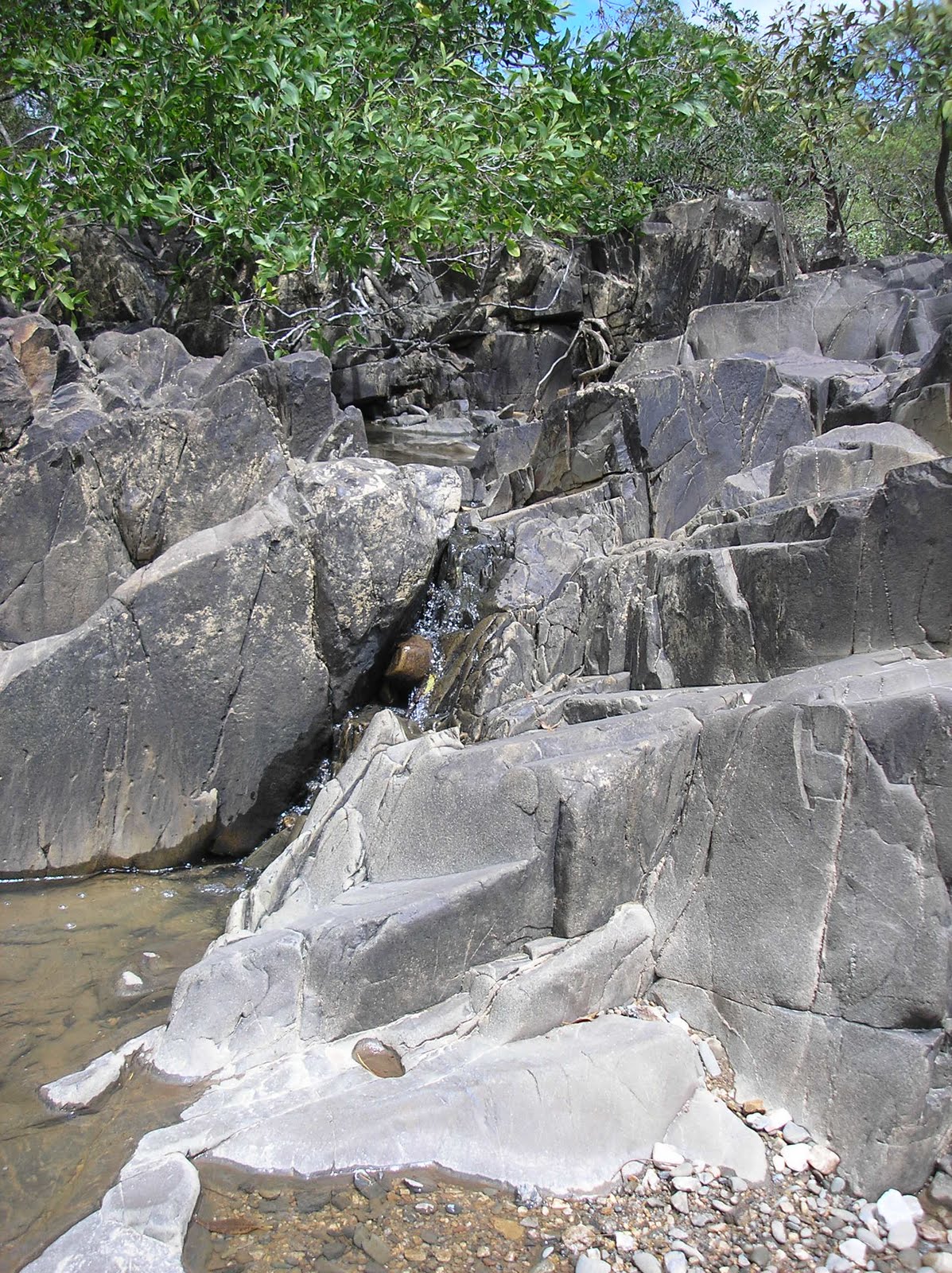 Travellin Oz! but off to NZ and USA SOON!: Cooktown 1st September ...