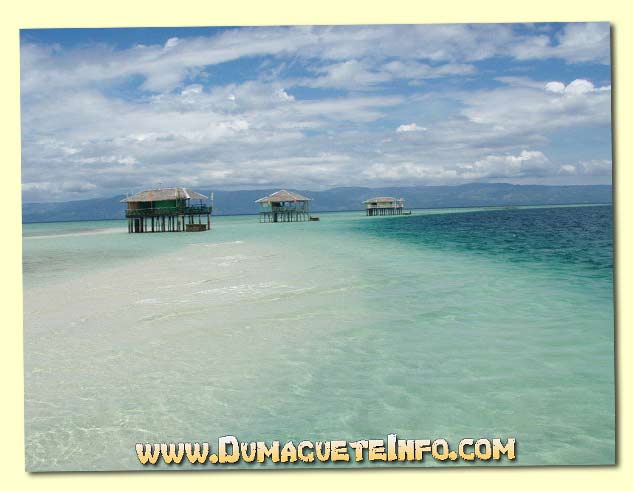 Manjuyod Sandbar, Negros Oriental | Noelizm