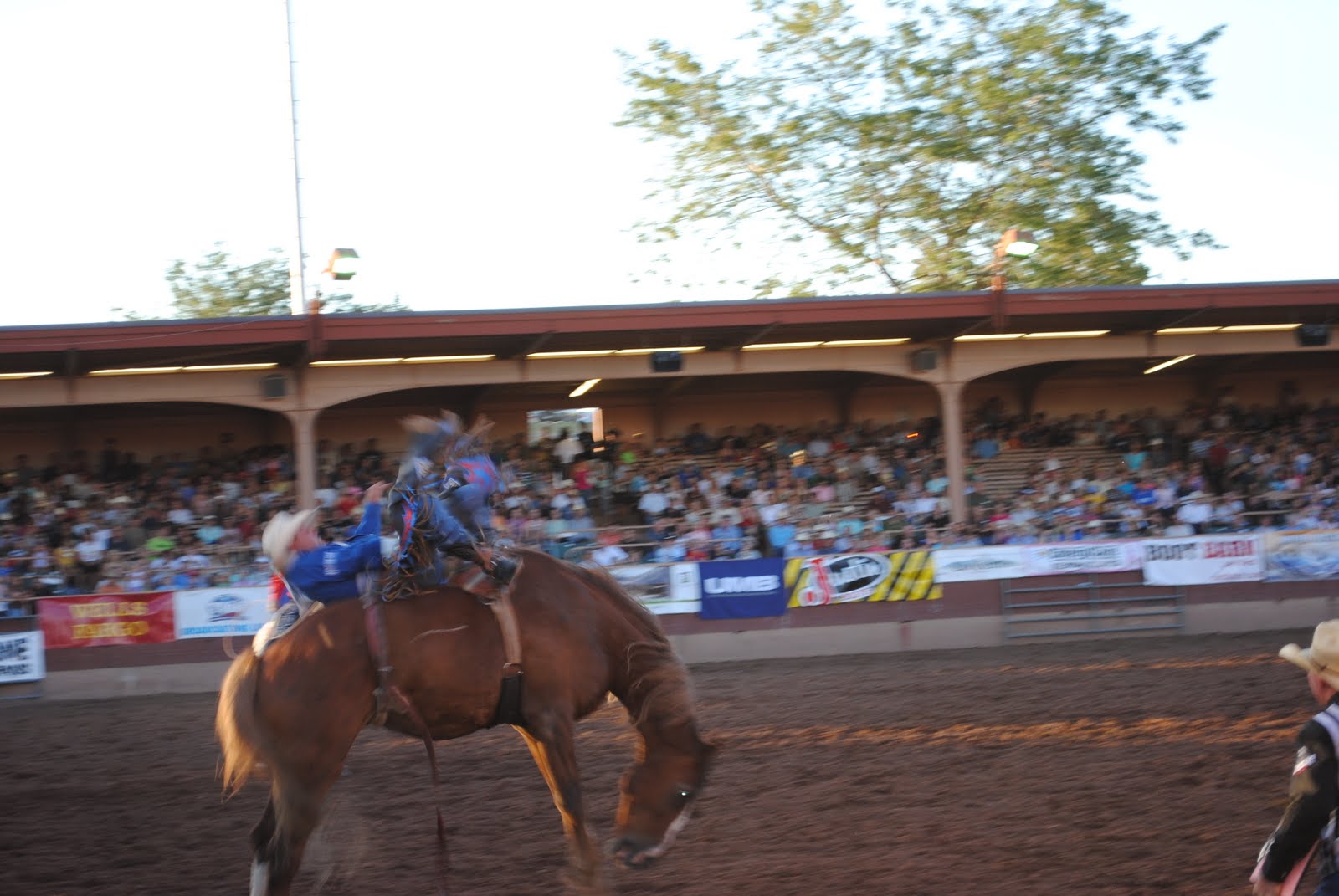 The Richard Randall Show: PIKES PEAK OR BUST RODEO
