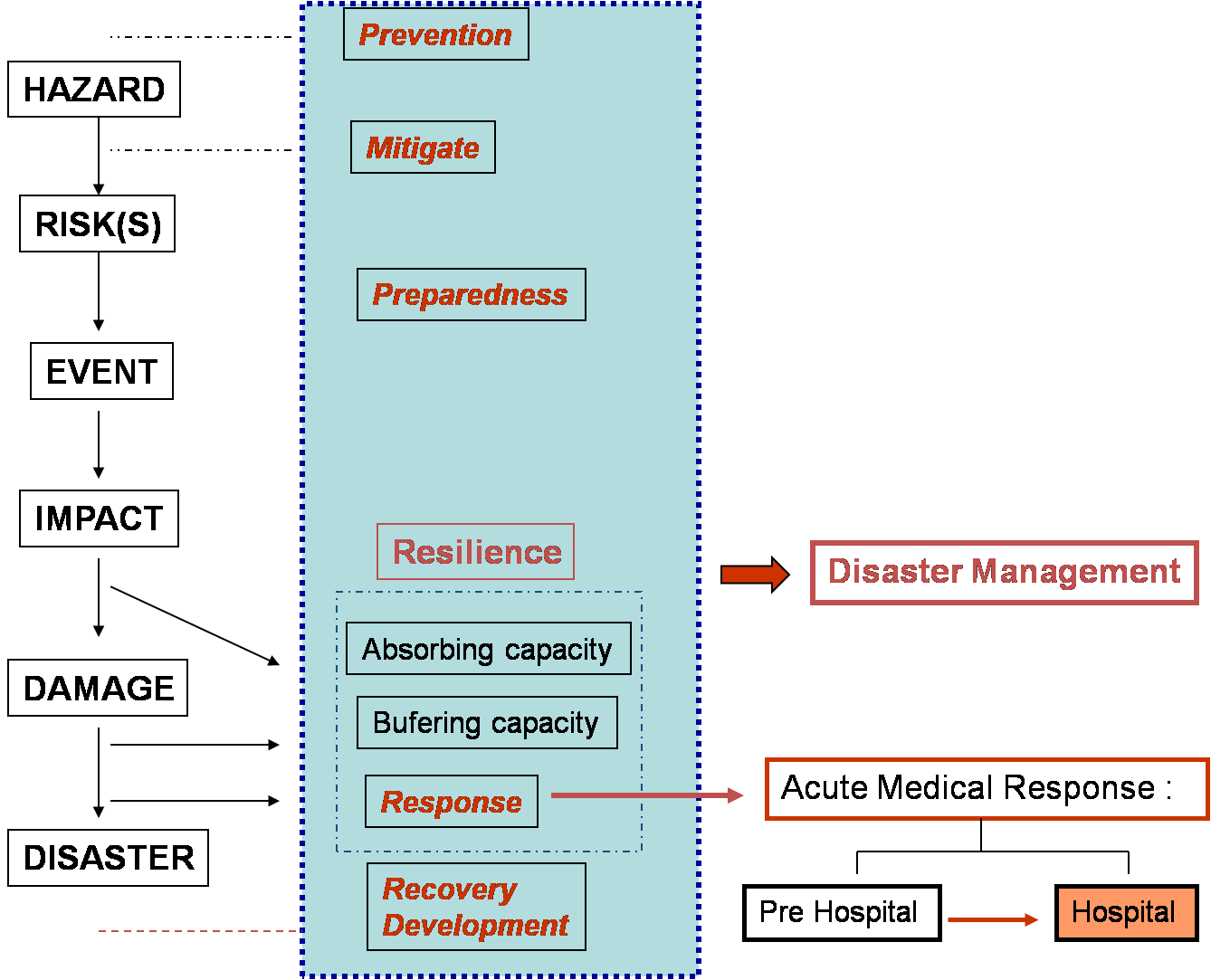 Health System Info: Disaster Management in General
