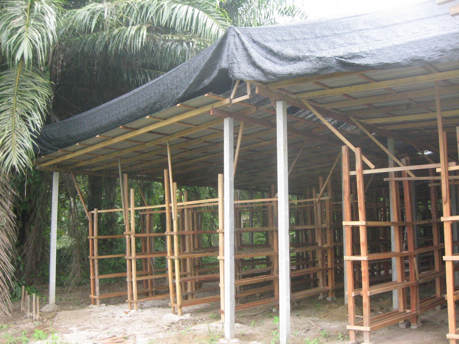 Cendawan Bizz Master: Mendirikan Rumah Cendawan Dan Rak