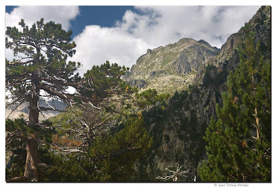 EL APRENDIZ DE FOTÓGRAFO: ESTANY NEGRE: Ruta de la marmota