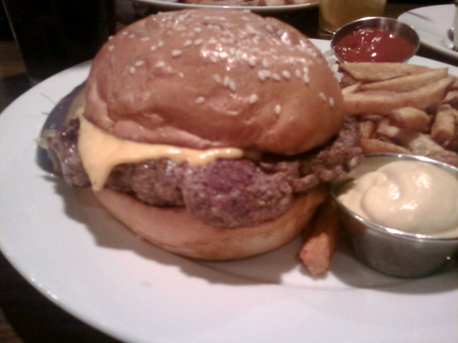 Honest and Accurate Burger Reviews by TheBurgerBusters: Hamburger ...