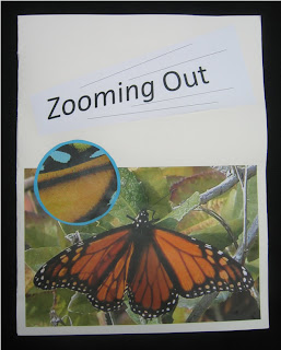 Get in the Fold!: Zoom In, Zoom Out