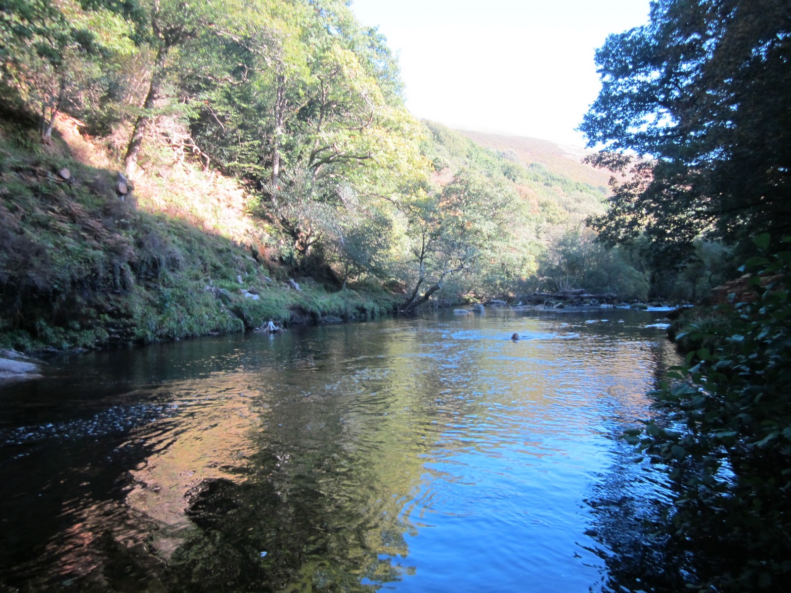 theswimmerashero: Dartmoor and the Sharrah Pool – a Guerrilla Repor
