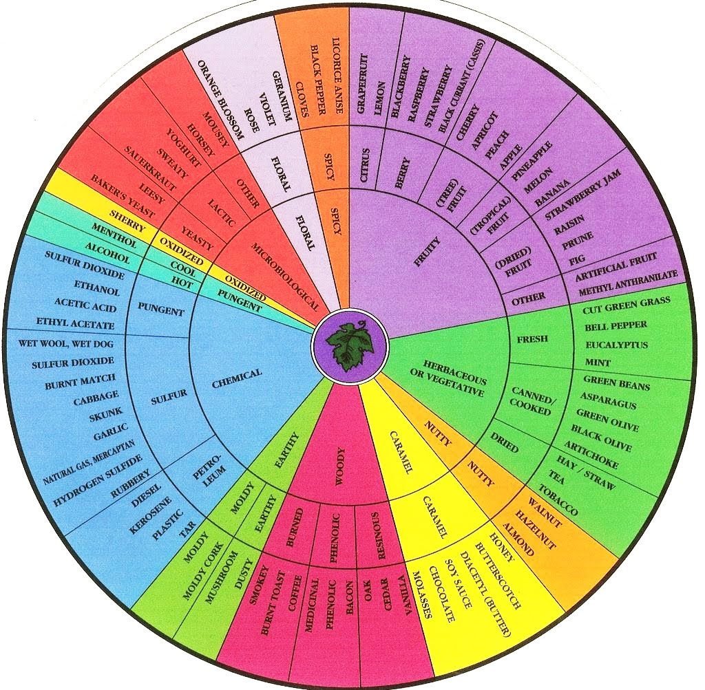 CET Florence: A Ride on the Aroma Wheel: Wine Tasting September 10-11 2010