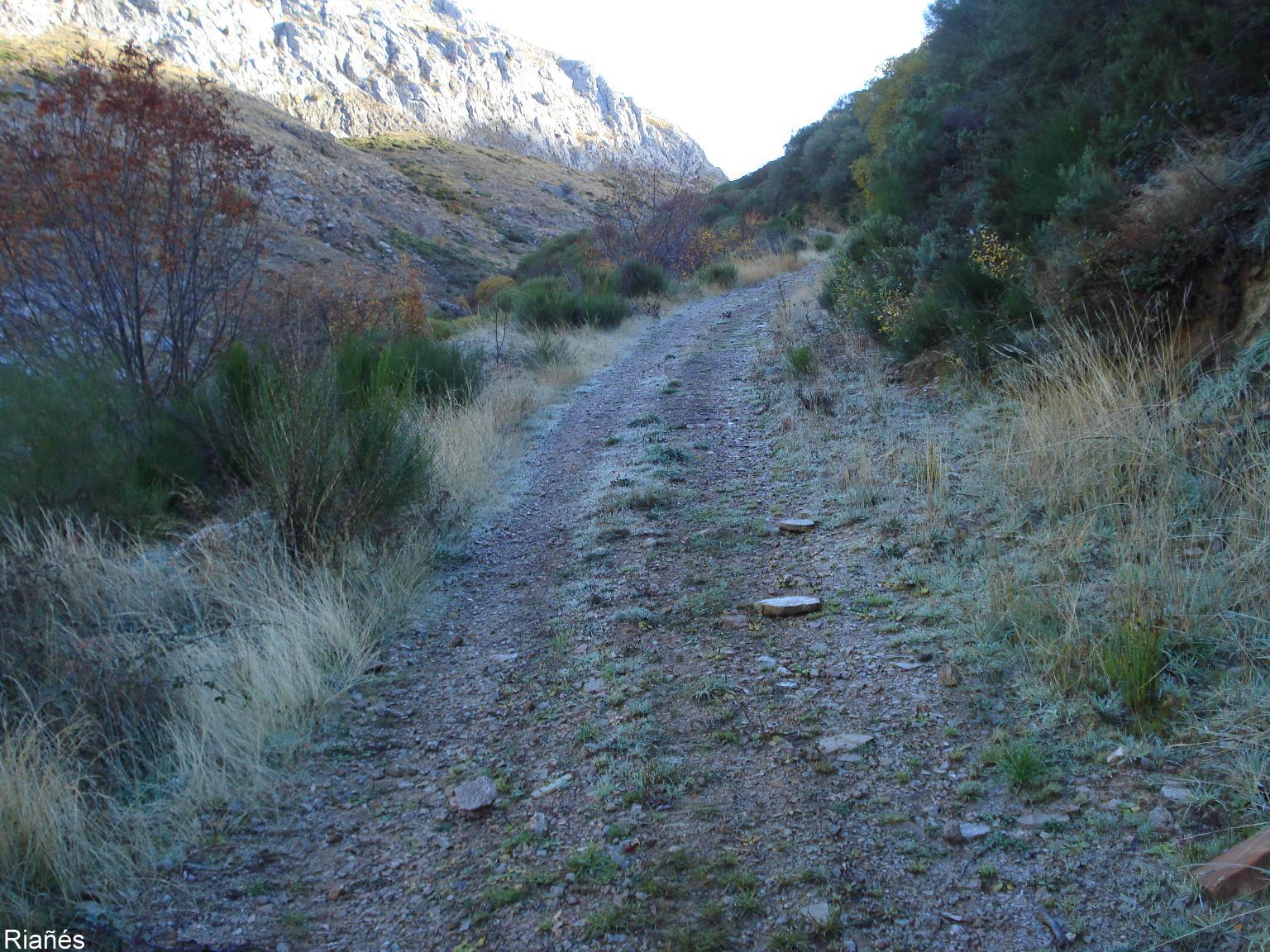 la fuente del abedul: Ascensión al Cueto Ancino