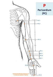 Patch for Health: Meridian Pathway - Graphic Guide