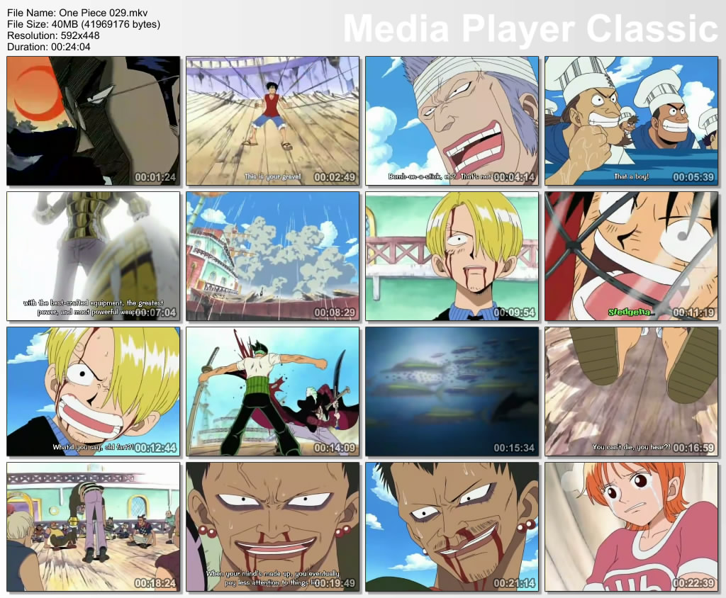 One Piece: 29 The Conclusion of the Deadly Battle A Spear of Blind ...