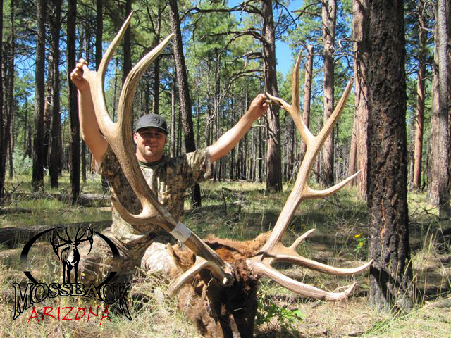 A3 Trophy Hunts LLC : Team Mossback Arizona's 2010 Elk Season ...
