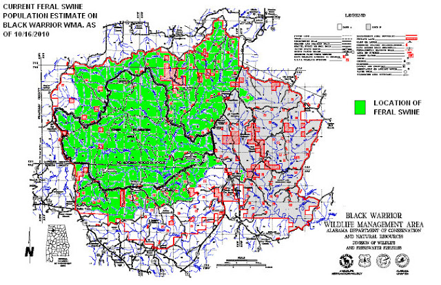 Winston County Natural Resources Council: Feral Hogs Cause Damage in ...
