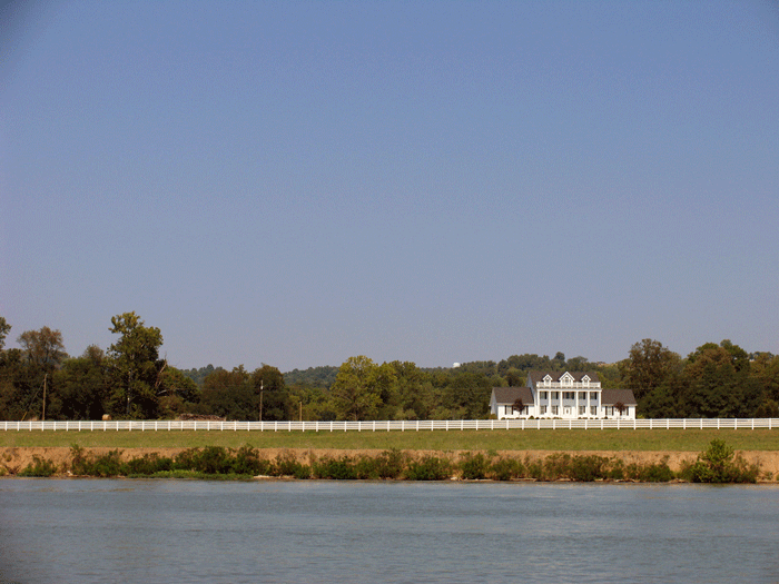 Gal in the Middle: One Wild Ride