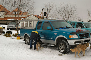 Maryland Sled Dog Adventures LLC: Everything But the Dogs: Mushing ...