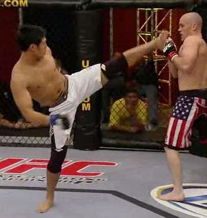 THE WORLD AND MARTIAL ARTS: THE ULTIMATE FIGHTER SEASON 12 EPISODE 1 ...