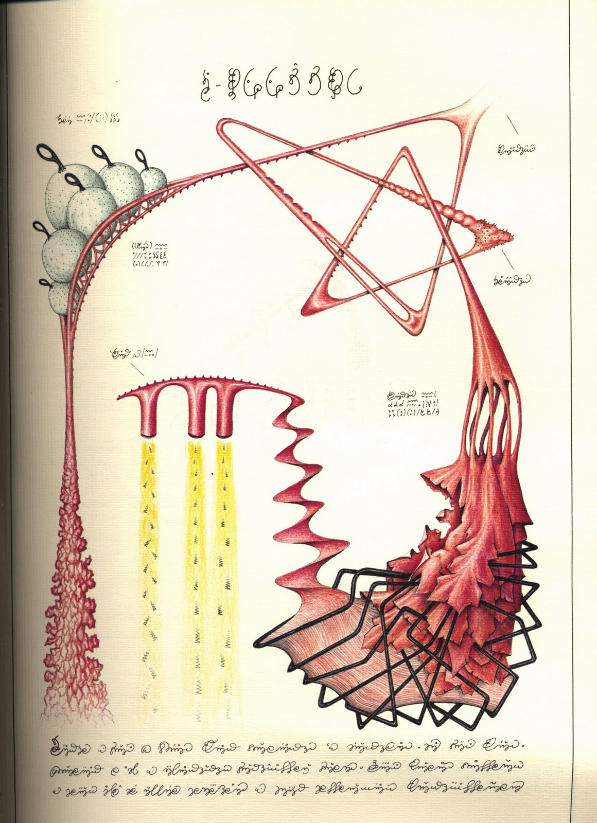 Secret Lexicon: Codex Seraphinianus