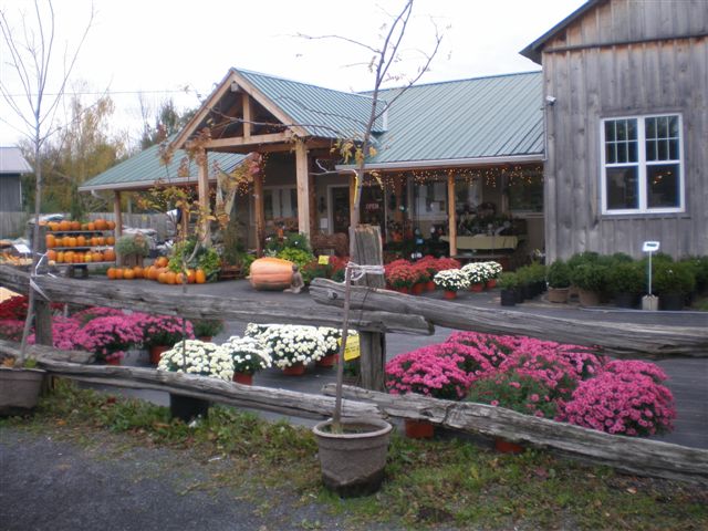 Jane's World: Thanksgiving Pottery Show at Marlin Orchards