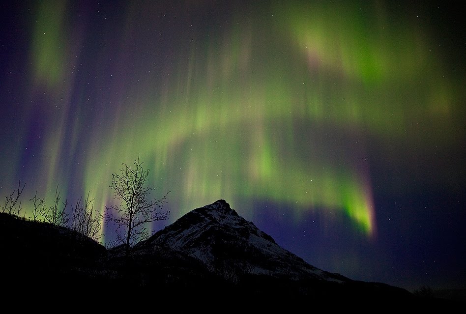 Bercerita kepada orang lain: Beauty of Aurora