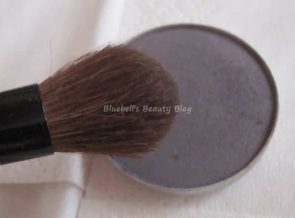 Diagram Of Collapsed Uterus